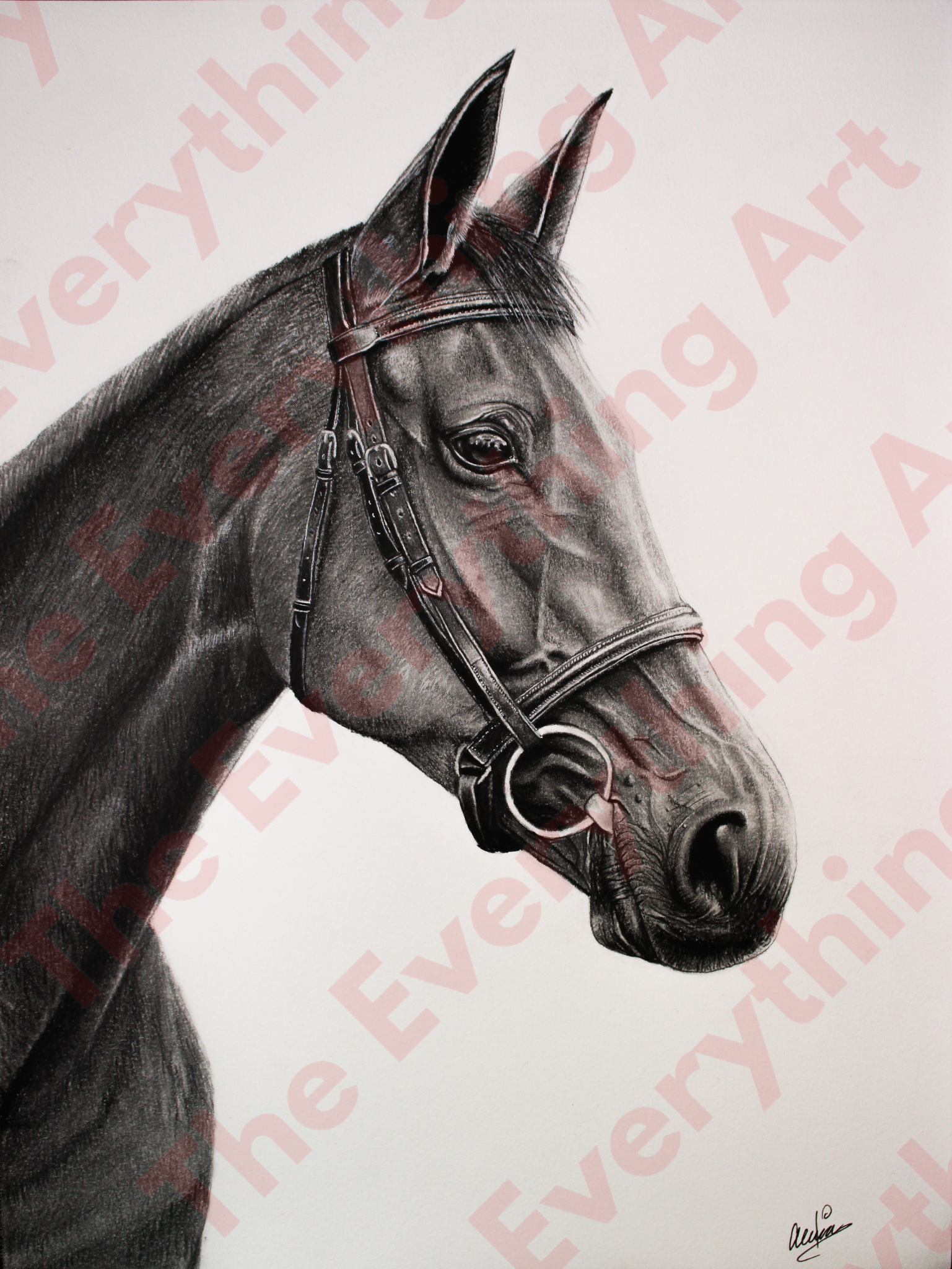 Original Drawings – The Everything Art